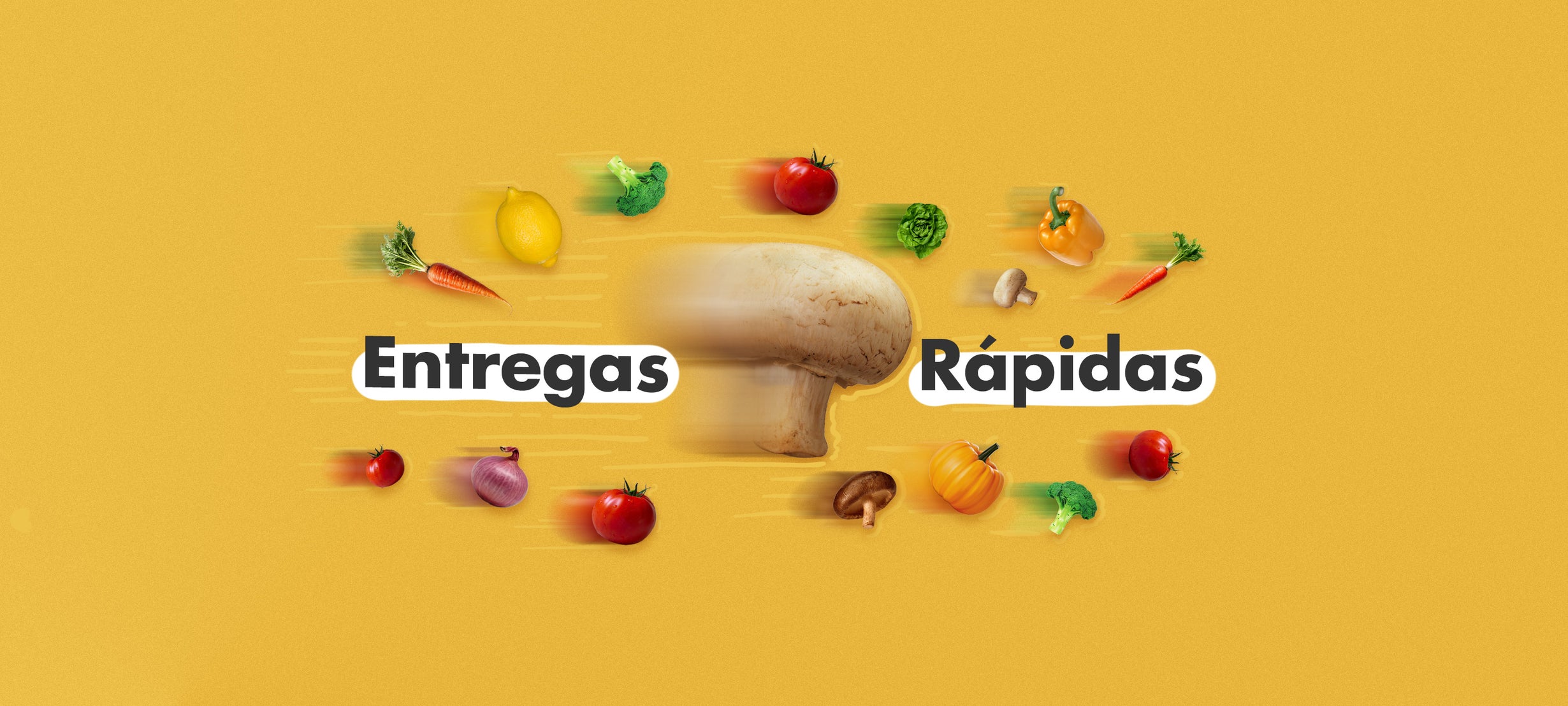 Quick Bite by Bite My Lunch