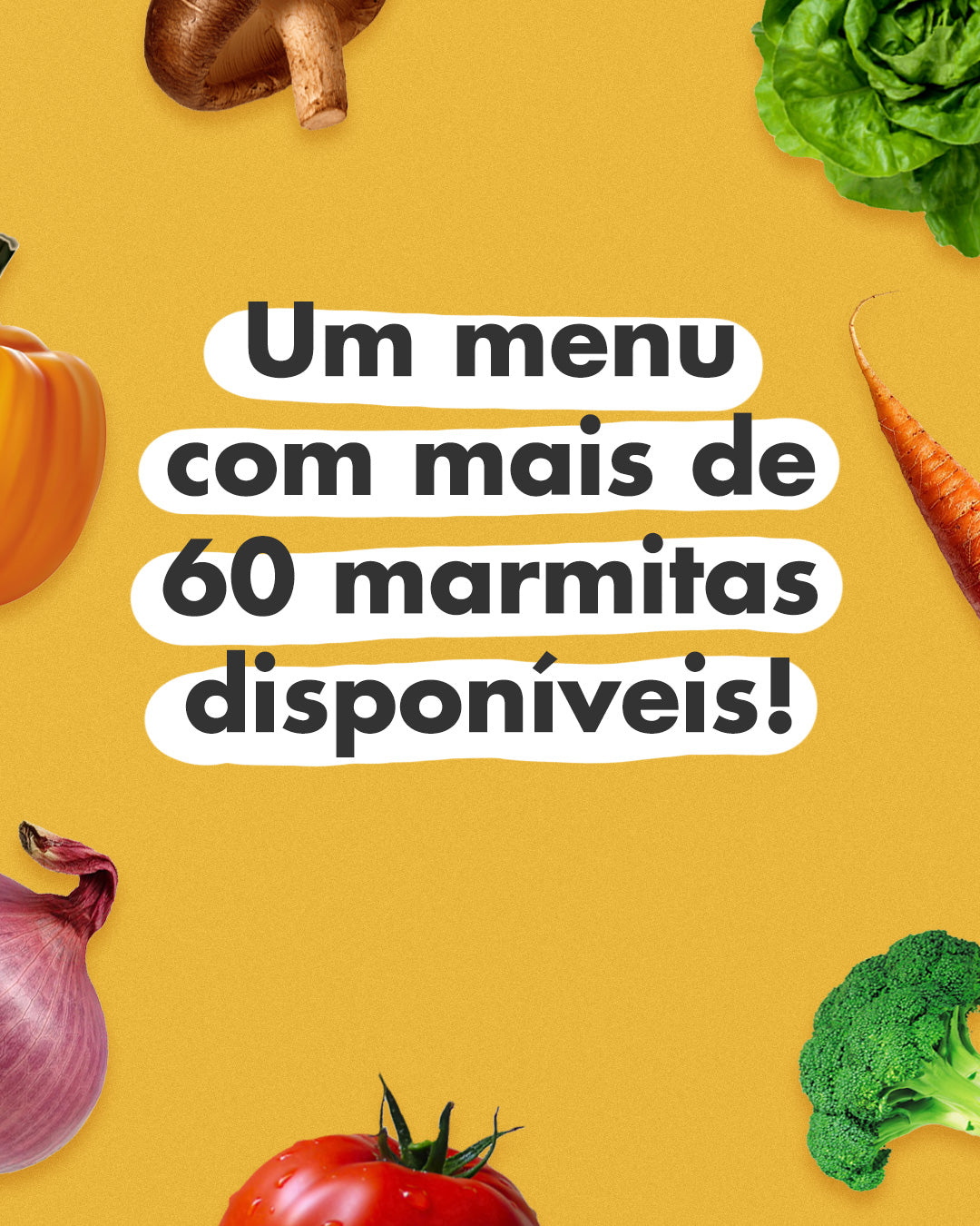 Quick Bite by Bite My Lunch