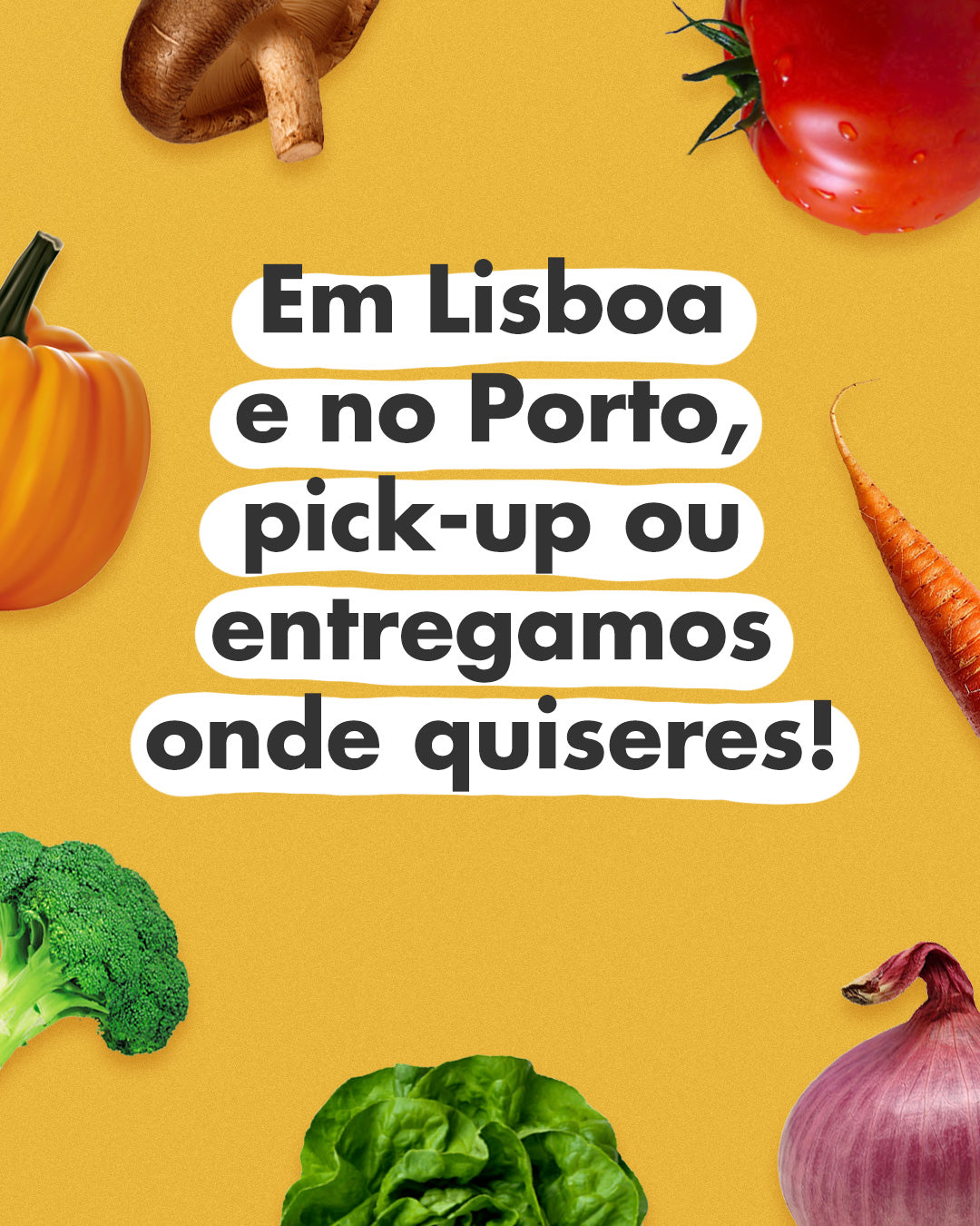 Quick Bite by Bite My Lunch